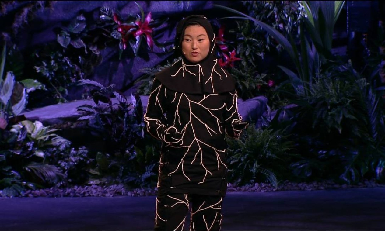 Coreana cria mortalha com cogumelos devoradores de poluição - Jornal O ...