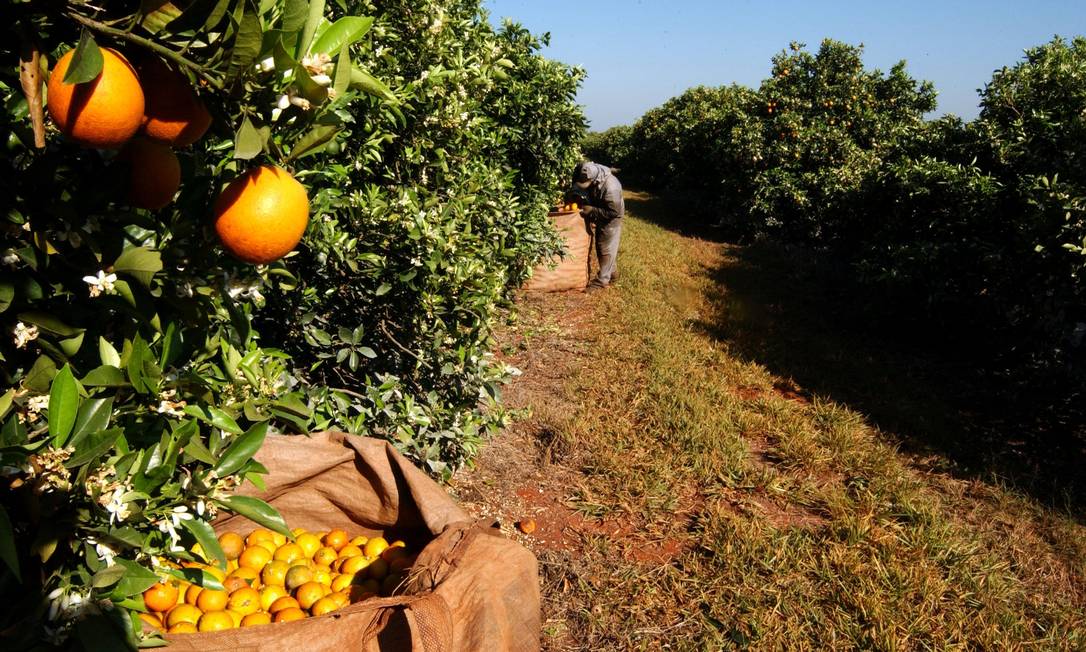 Com seca e baixo nível dos reservatórios, Brasil pode deixar o mundo ...