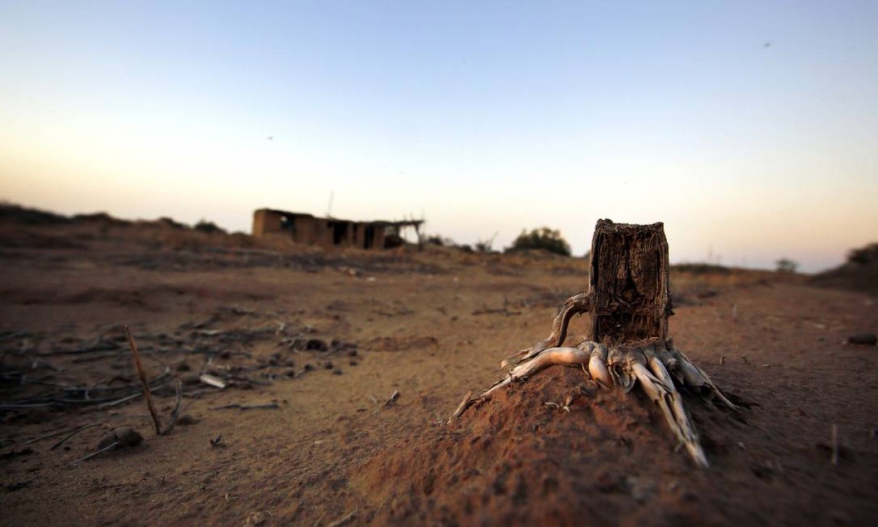 Clima árido afetará até 20% da população mundial - Jornal O Globo