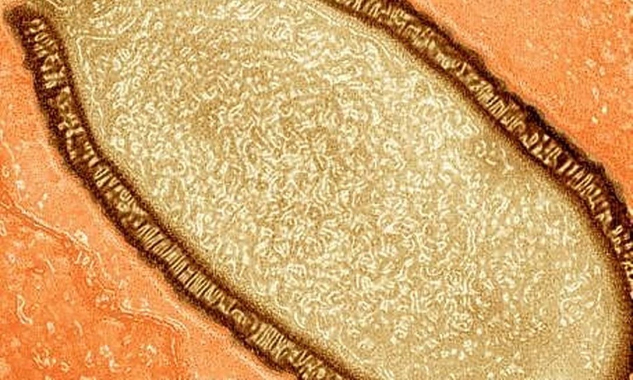 Vírus gigante de 30 mil anos volta à vida na Sibéria - Jornal O Globo