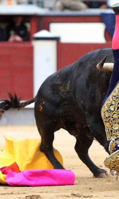 Touros 3 x 0 toureiros - Jornal O Globo