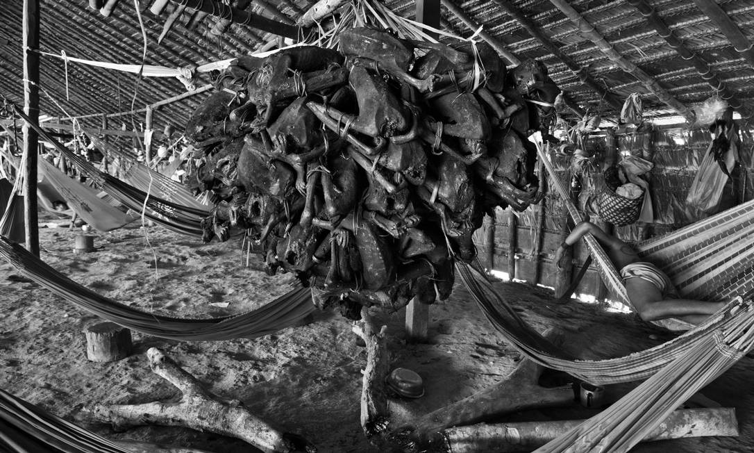 Ianomâmis: a guerra de um povo entre a vida e a morte - Jornal O Globo