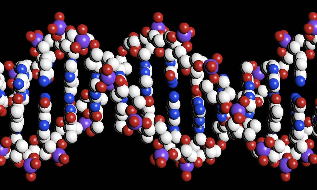 Apenas 8,2% do DNA humano é ‘funcional’ - Jornal O Globo