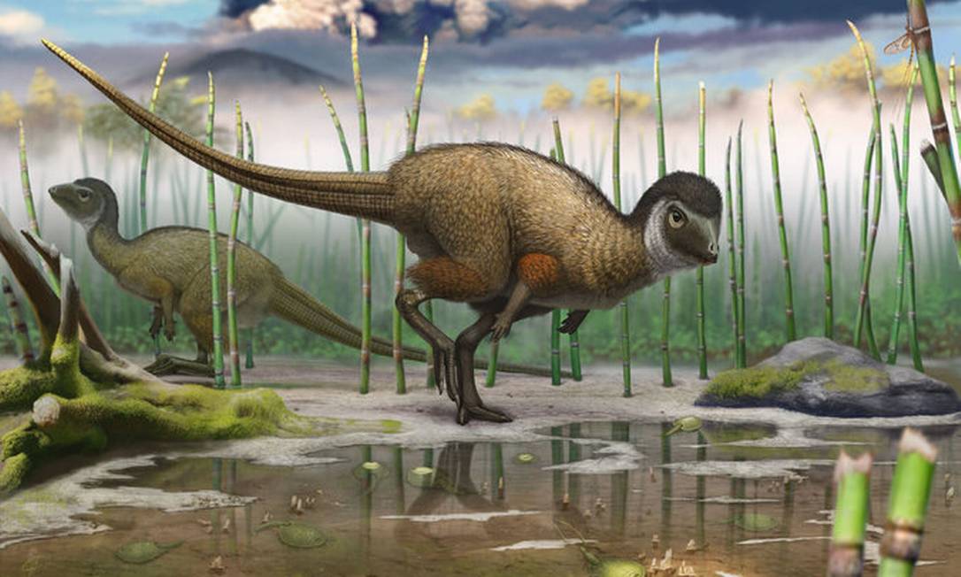 Nova descoberta aponta para mais dinossauros emplumados - Jornal O Globo