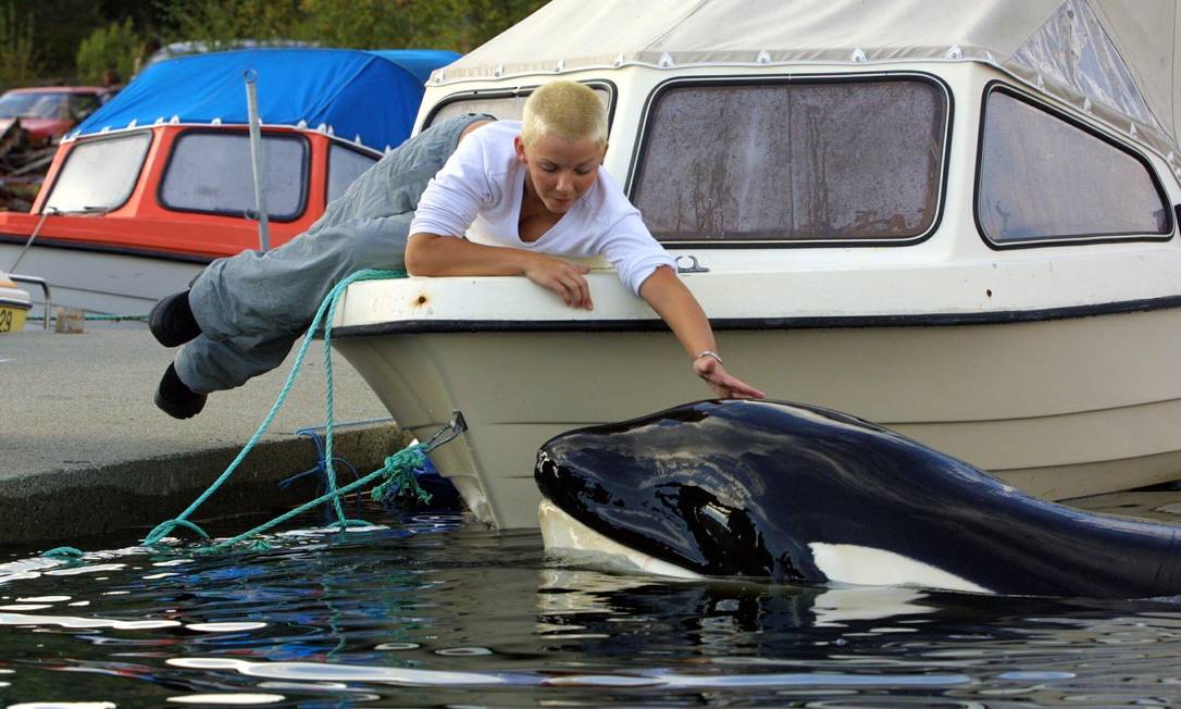 Keiko Orca Free Willy