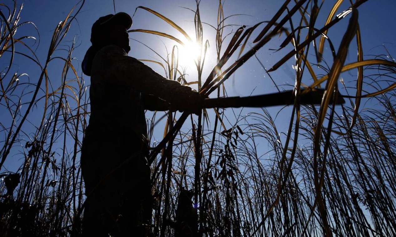 GranBio anuncia produção industrial de etanol 2G pela primeira vez no ...