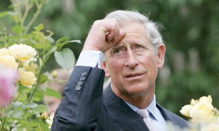 Biógrafa revela cinco curiosidades sobre o príncipe Charles - Jornal O ...