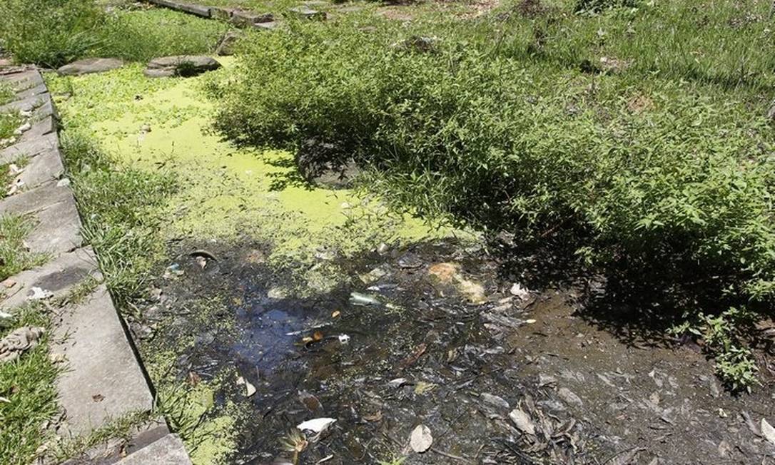 Jardins históricos no Alto da Boa Vista têm lagos cobertos por lodo e ...
