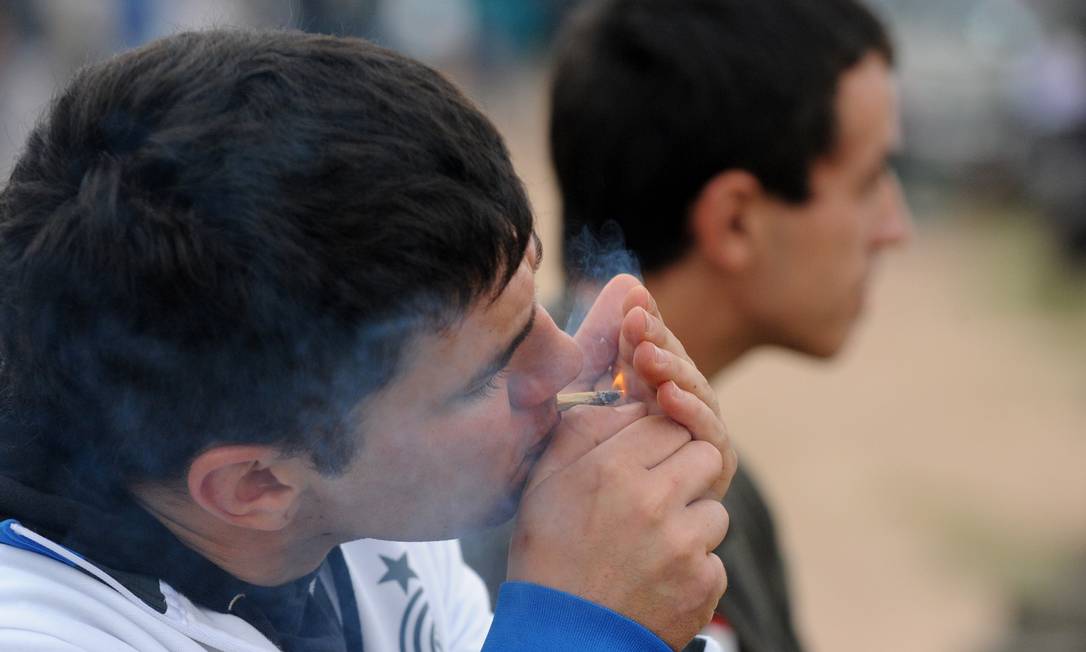 Maconha ganha livro sobre sua história no Brasil - Jornal O Globo