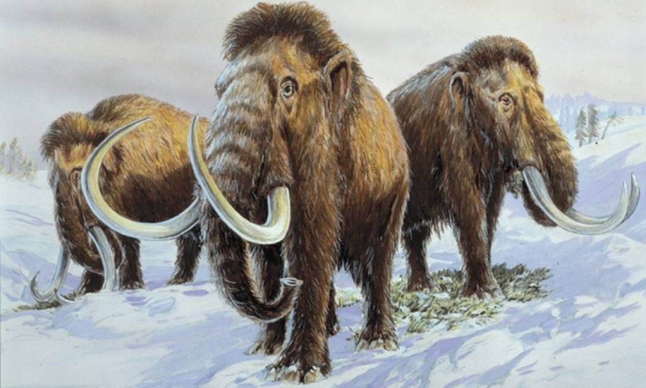 'Estamos chegando lá, mas por que queremos recriar um mamute?' - Jornal ...