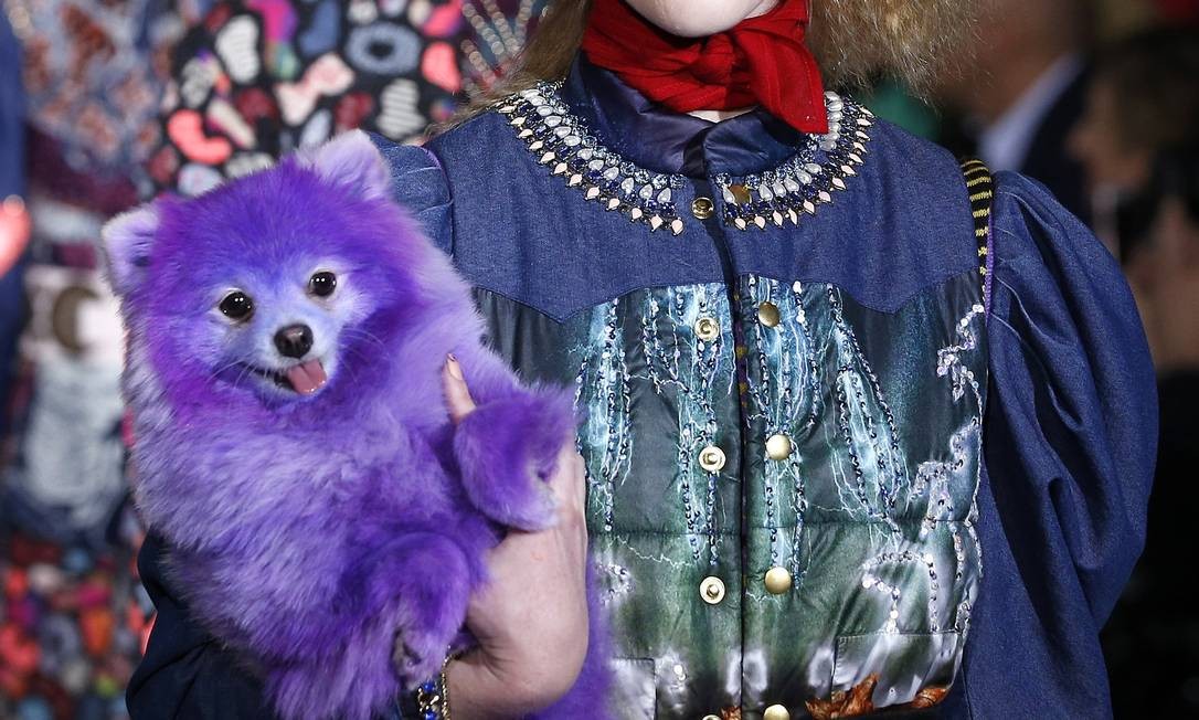 Cachorro roxo chama a atenção em desfile de grife em Paris - Jornal O Globo