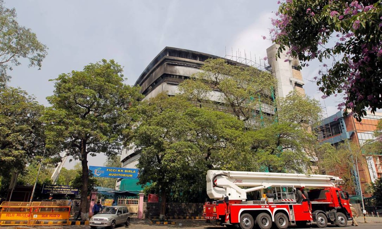 Incêndio destrói acervo do Museu de História Natural de Nova Délhi ...