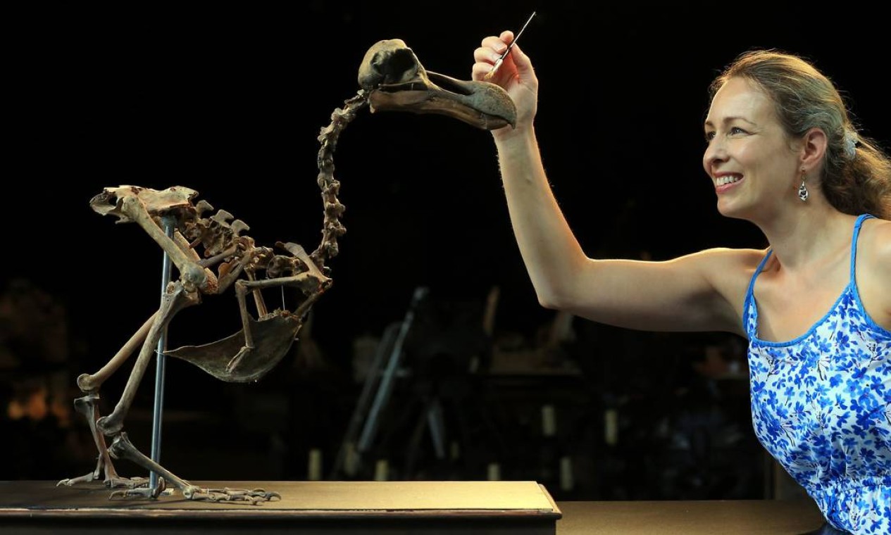 Raro esqueleto de dodô será leiloado pela primeira vez em um século ...