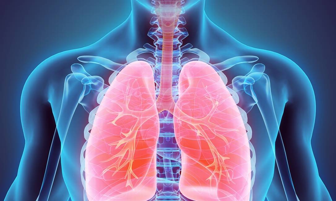 Fatos importantes sobre respiração que você precisar saber - Jornal O Globo