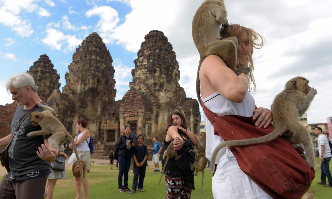 Macacos se deleitam com banquete em templo budista na Tailândia - Jornal O Globo