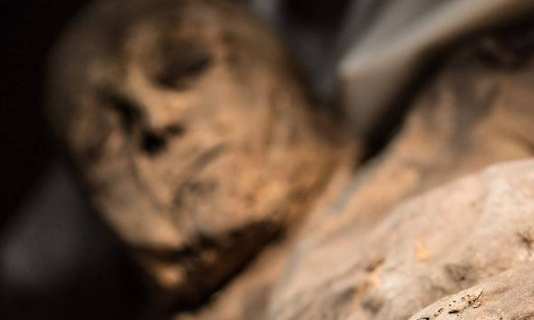 DNA mais antigo da varíola é achado em criança mumificada do século XII ...