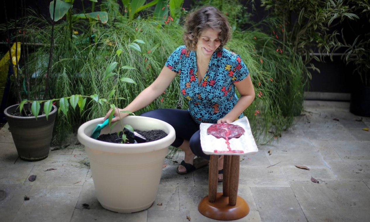 Mães guardam a placenta para comer, enterrar ou emoldurar - Jornal O Globo