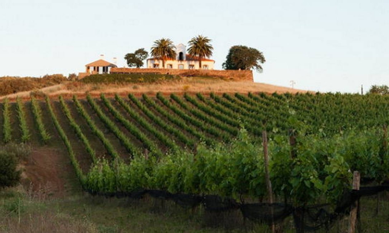Fotogaleria Herdade do Vau - Jornal O Globo