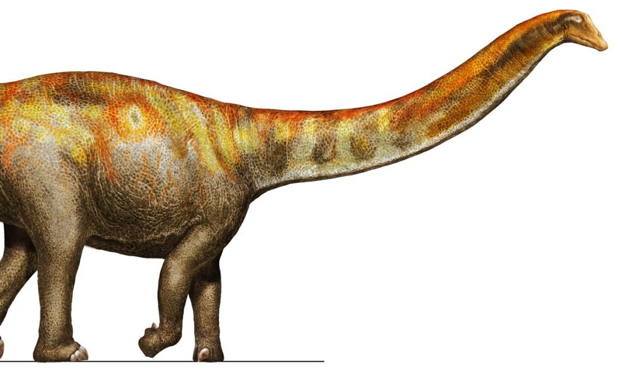 Nova espécie de dinossauro descoberta nos EUA - Jornal O Globo