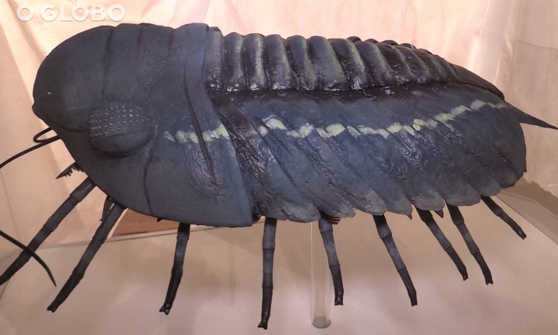 Trilobita, o habitante do Brasil 400 milhões de anos atrás - Jornal O Globo