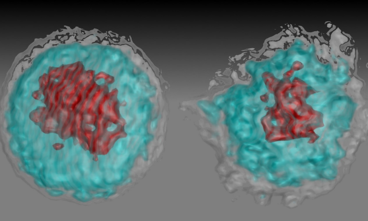 Zika age como HIV para suprimir sistema imunológico e alcançar fetos ...