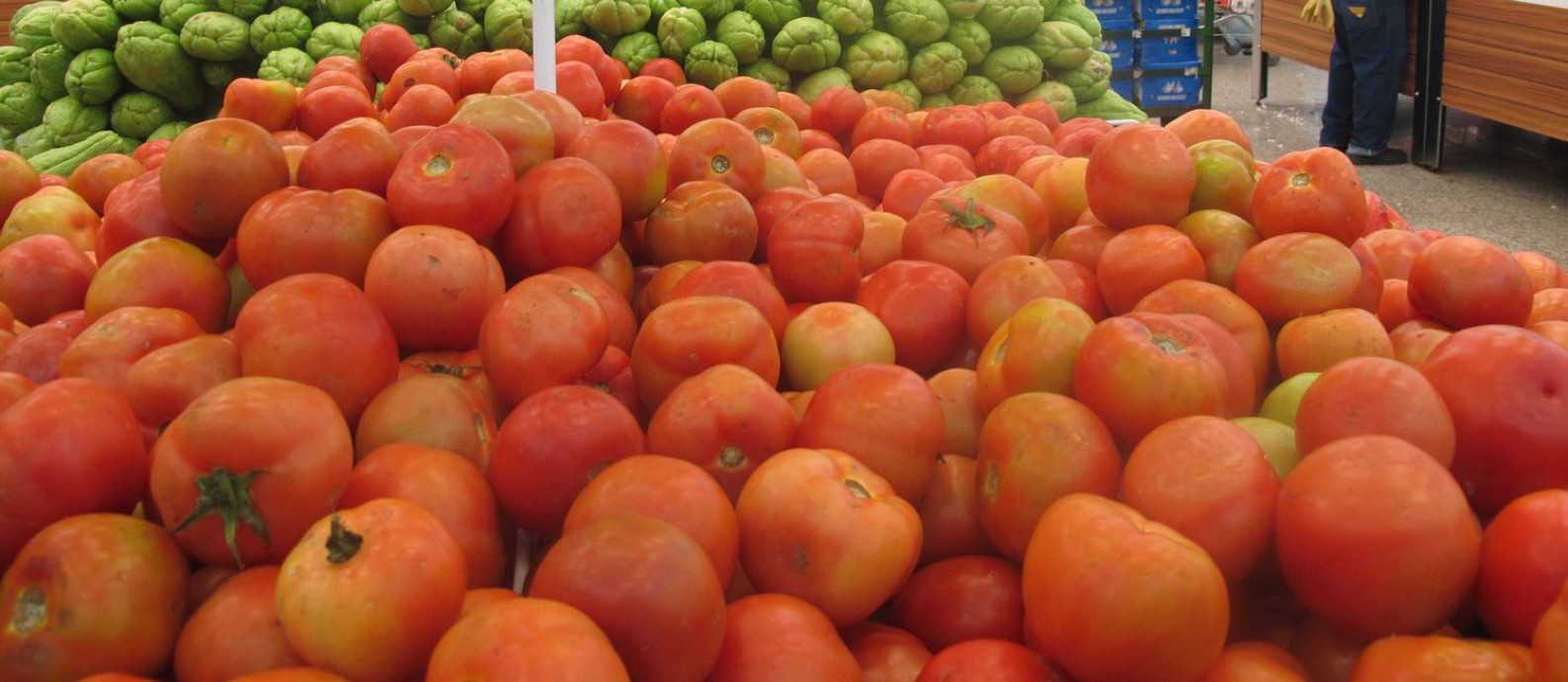 Preço do tomate cai 23% e ajuda a segurar inflação no Rio - Jornal O Globo