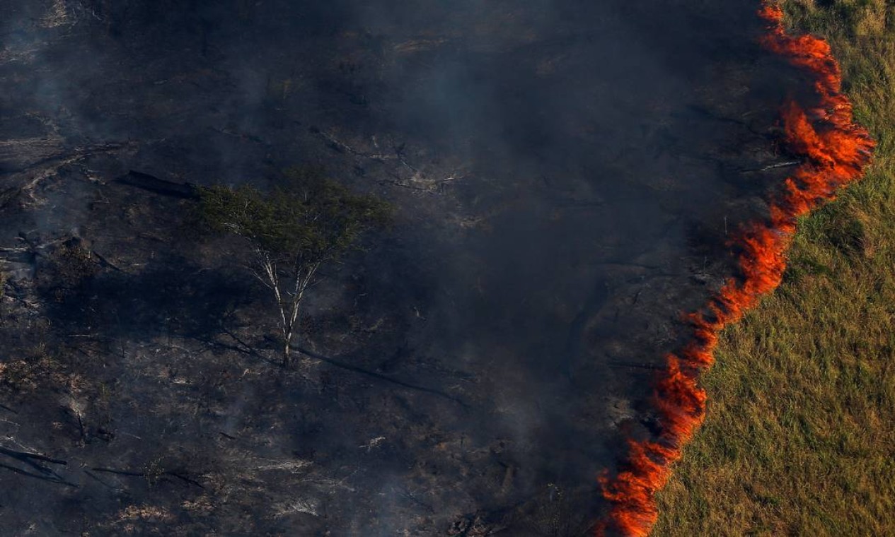Os benefícios do uso de imagens de satélite para detecção de queimadas ...
