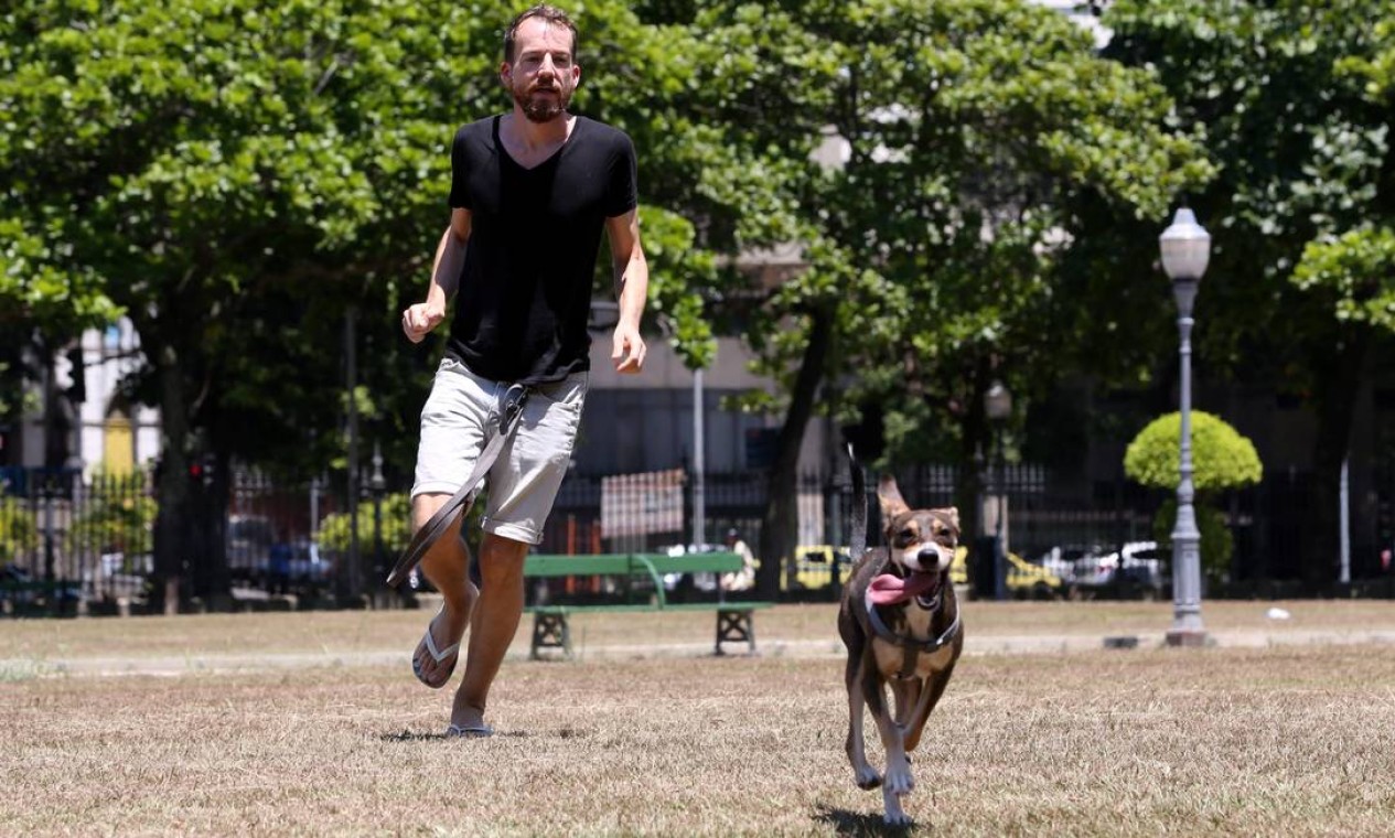 Vida de cachorro no Rio - Jornal O Globo