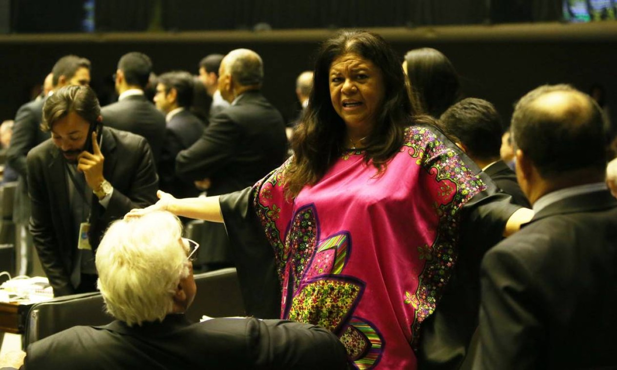 Relatora Laura Carneiro atesta legalidade do decreto da intervenção ...