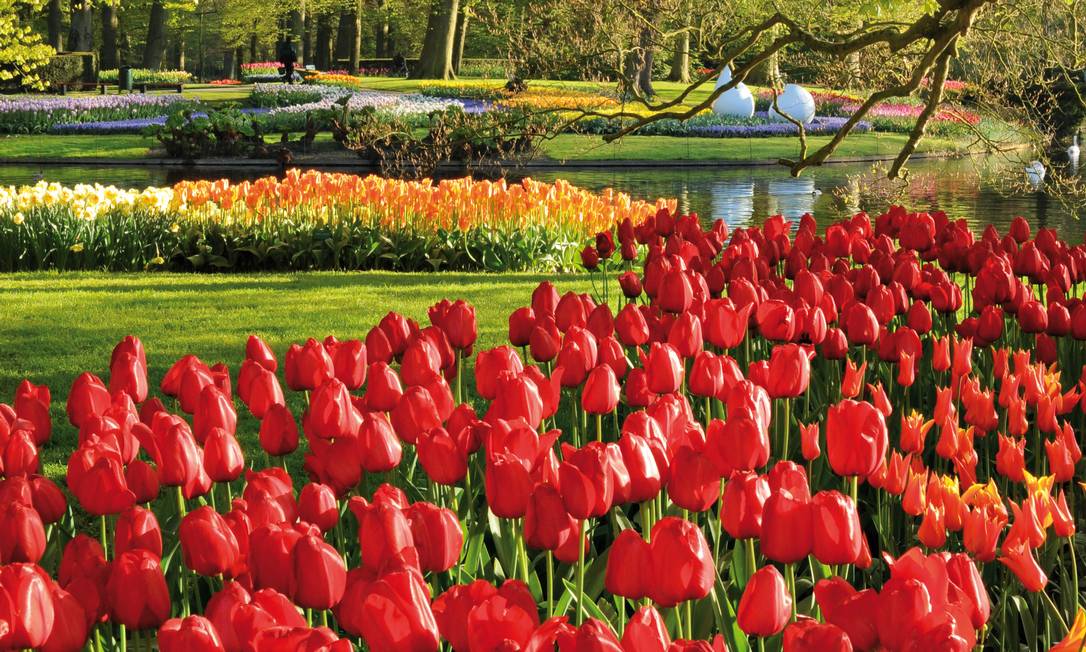 Maior parque de flores do mundo abre sua temporada em 22 de março ...