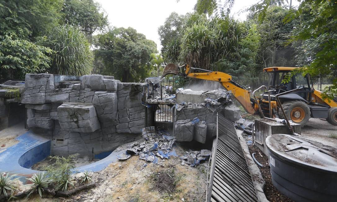 Público terá safári em rio artificial no zoológico no primeiro ...