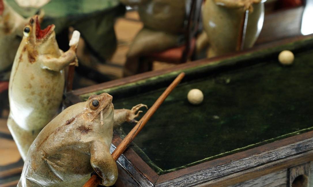No Frog Museum, réplicas de sapo reproduzem cenas do cotidiano - Jornal ...