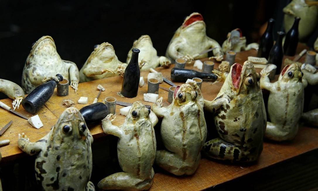 No Frog Museum, réplicas de sapo reproduzem cenas do cotidiano - Jornal ...