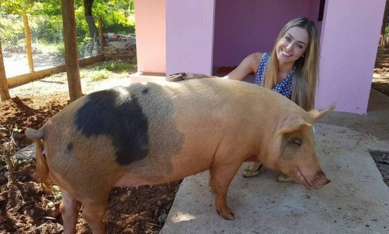 'BBB 19': conheça os participantes - Jornal O Globo