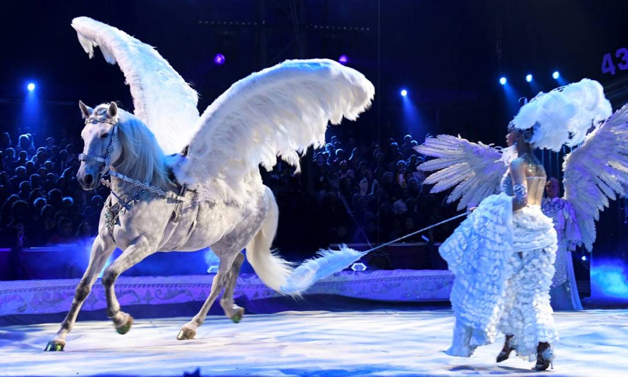 Veja fotos do Festival Internacional de Circo de Monte Carlo - Jornal O ...