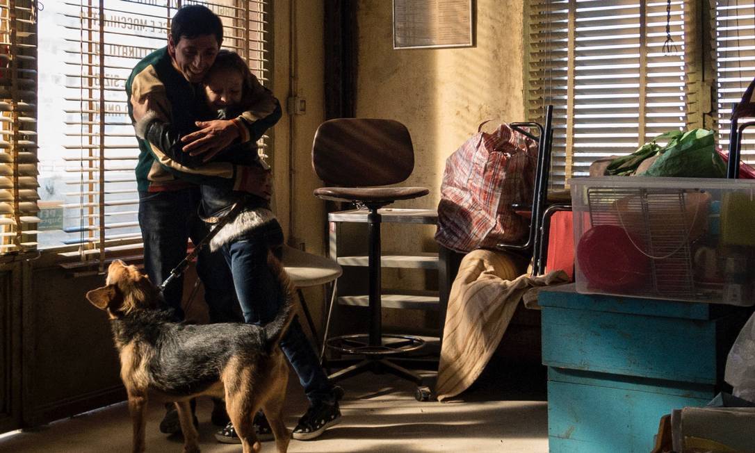 'Dogman', de Matteo Garrone, leva ao cinema crime que chocou a Itália ...