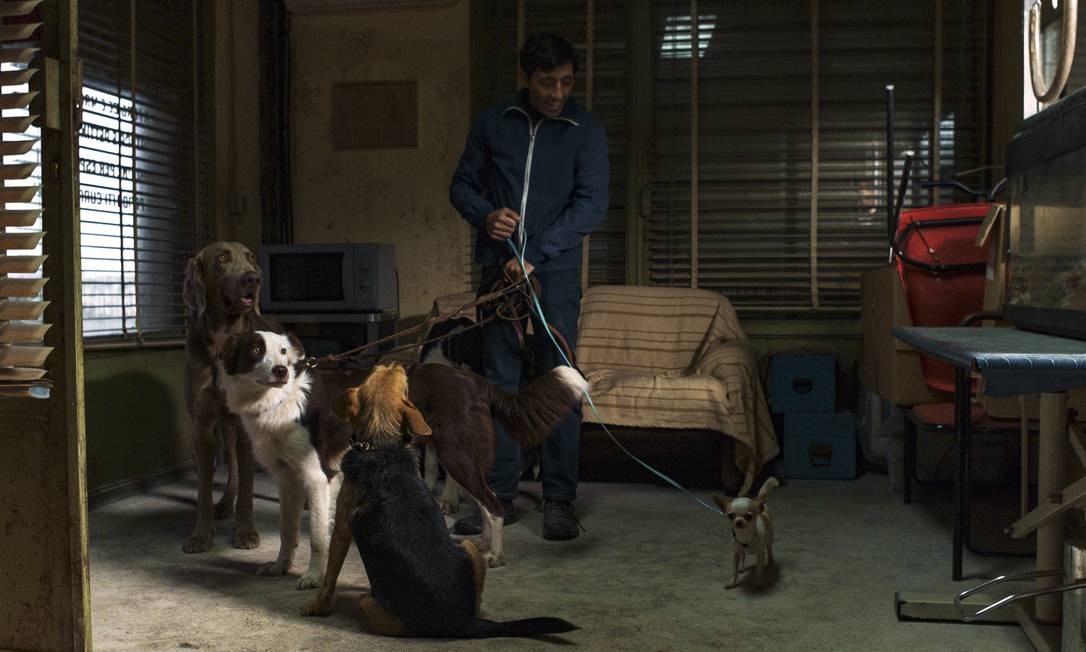 'Dogman' conta história de vingança baseada em fatos reais - Jornal O Globo