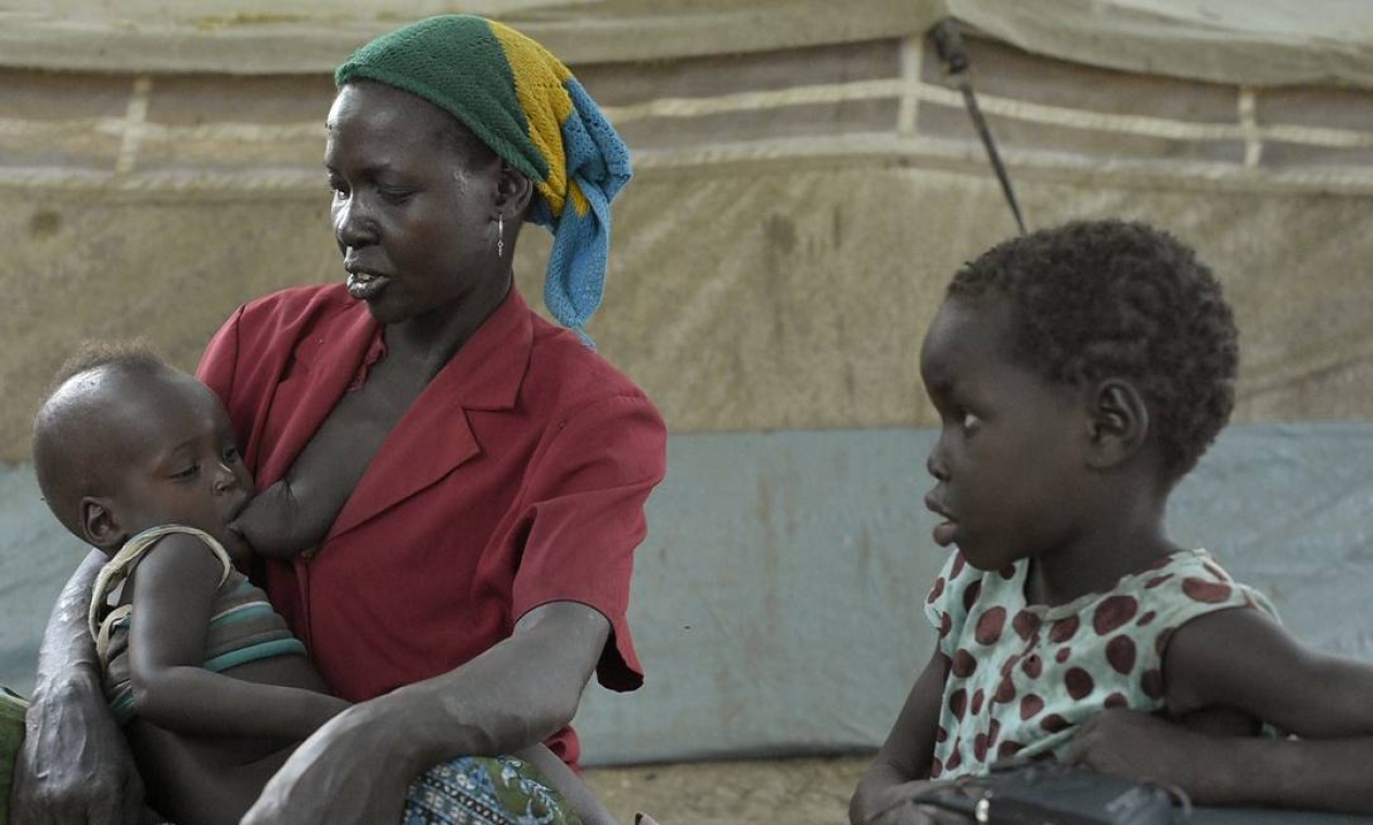 Democracia faz bem à saúde, aponta estudo - Jornal O Globo