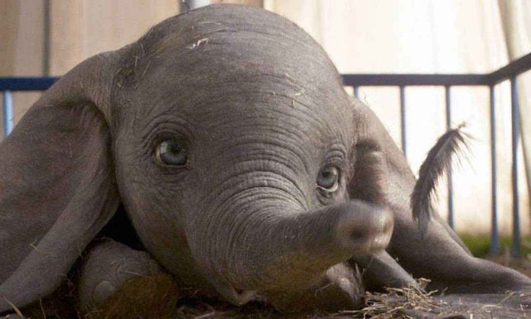 Defesa dos animais e o primeiro protagonista da Disney que não fala ...