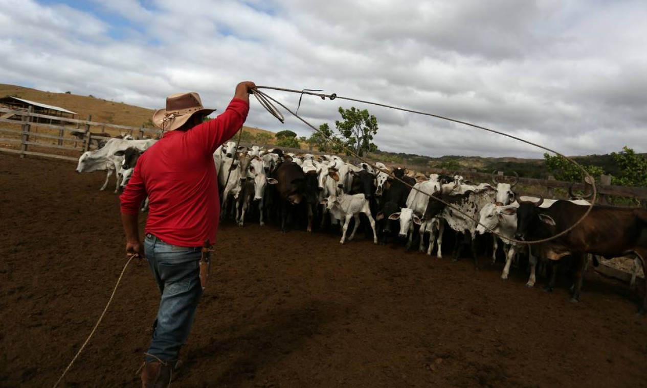 A vida dos índios Macuxi, da reserva Raposa Serra do Sol - Jornal O Globo