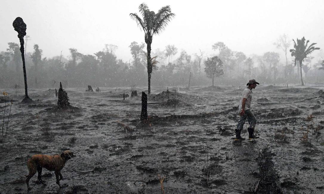 Veja fotos da destruição causada por queimadas na Amazônia - Jornal O Globo