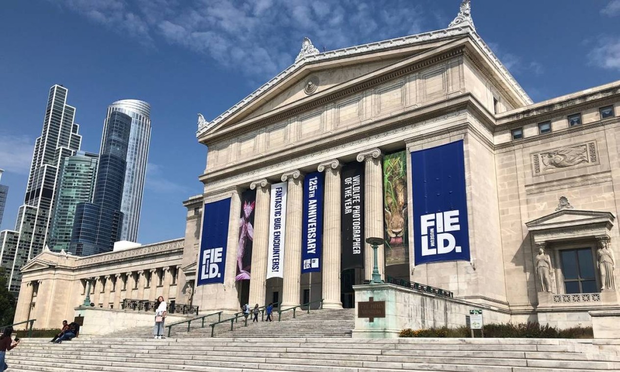 Um passeio pelas ruas cheias de arte e diversidade de Chicago - Jornal ...
