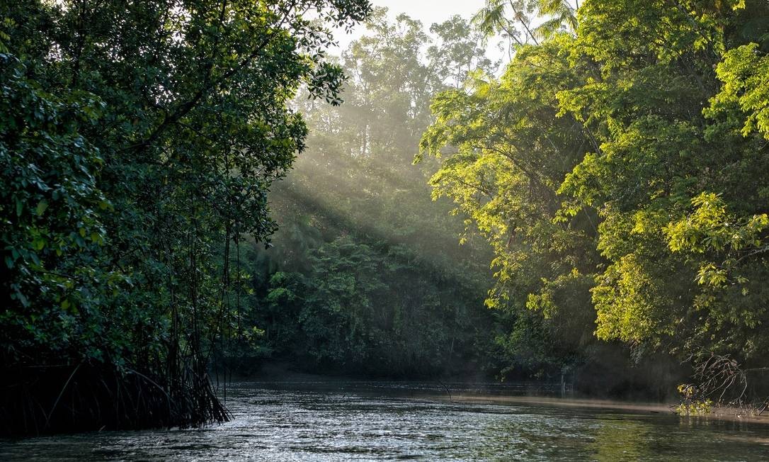Amazônia brasileira é uma das tendências de viagem para 2020 em lista ...