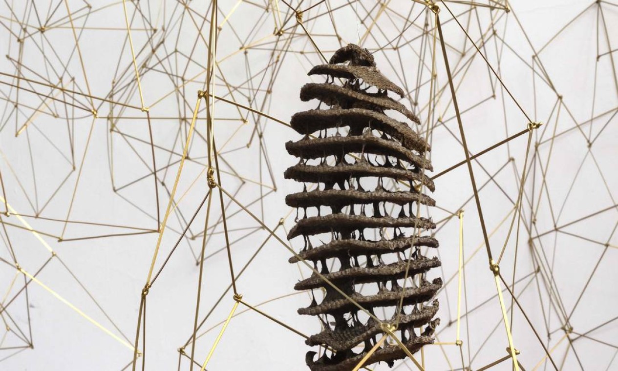 Imagens da mostra inédita de Daisy Xavier - Jornal O Globo