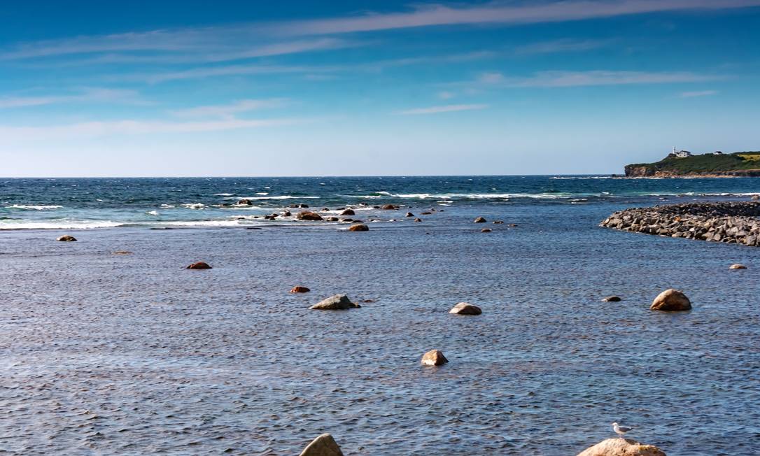 Aquecimento global faz seres do mar buscarem refúgio em profundidades ...