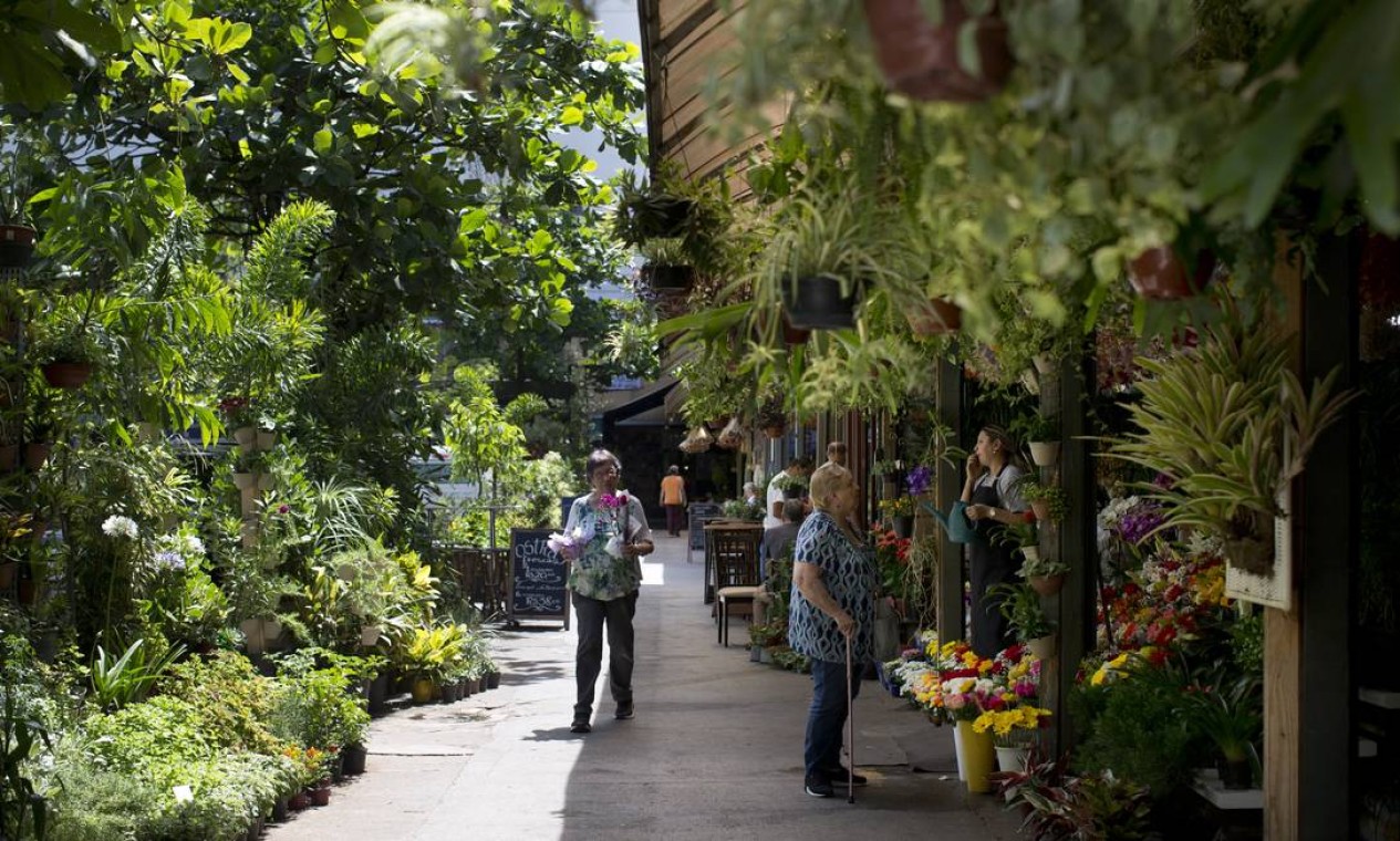 Cobal do Humaitá, patrimônio afetivo dos moradores de Botafogo, tem ...