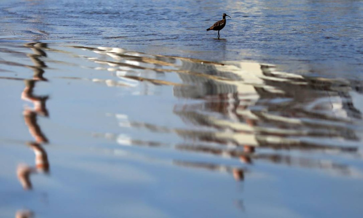 Conheça a 'Chernobyl chilena' - Jornal O Globo