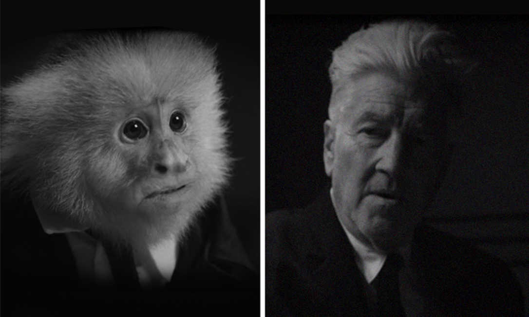 David Lynch interroga macaco falante em filme-surpresa na Netflix ...