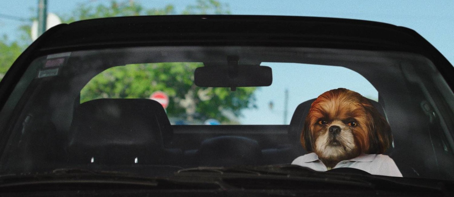 Bruno Aleixo, ídolo português do humor, chega às telas de cinema no ...