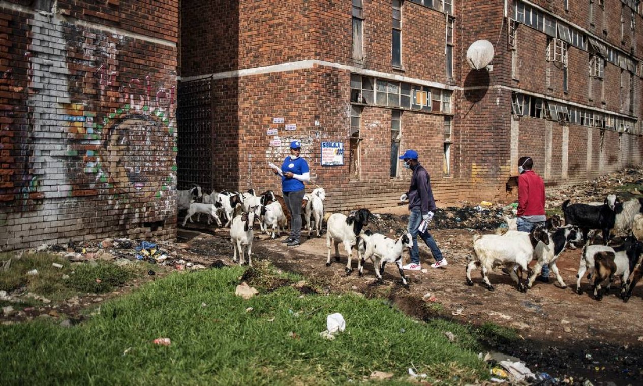 A pandemia e o apartheid: veja como Alexandra, bairro onde viveu ...